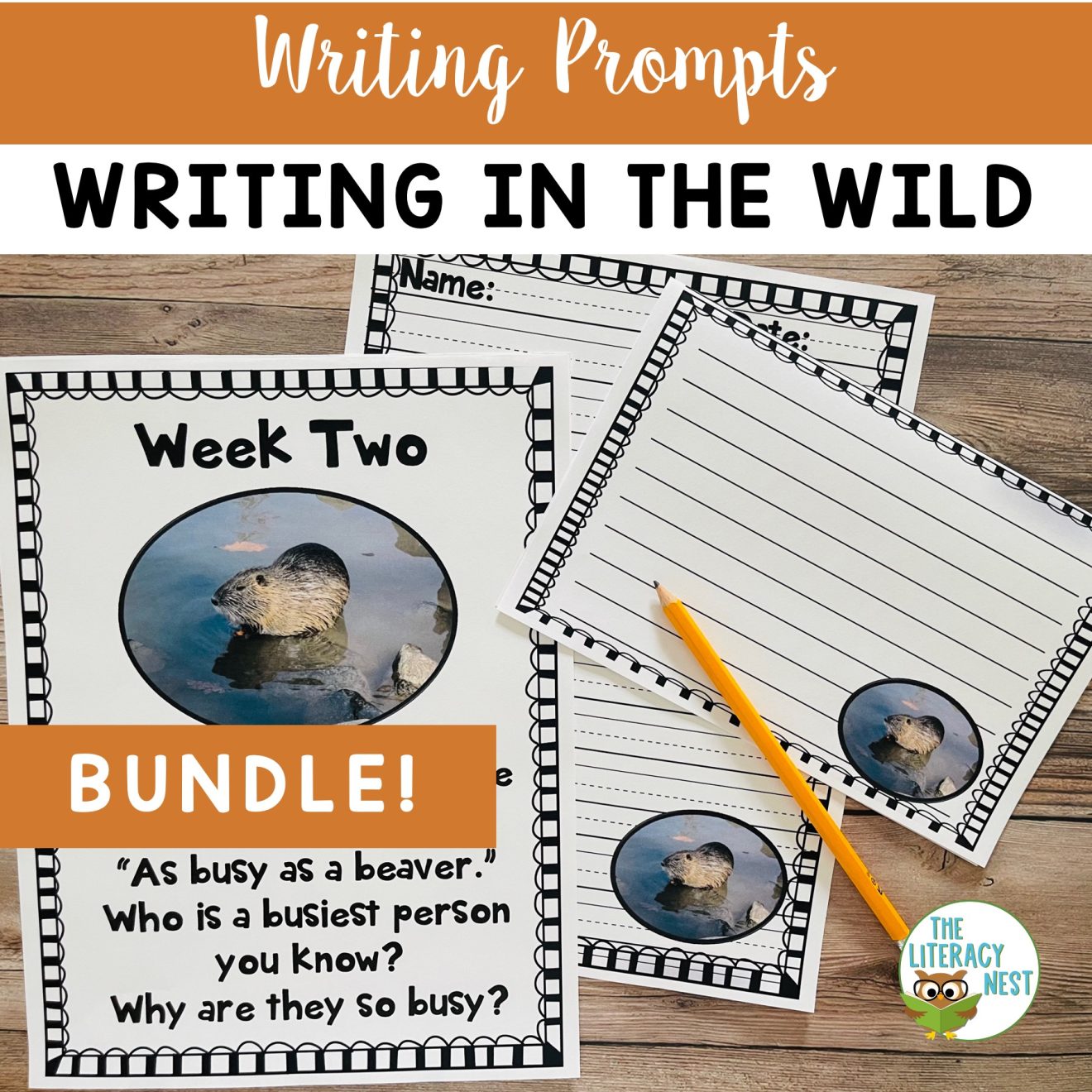 Orton Gillingham Spelling Lists and Sentences BUNDLE - The Literacy Nest