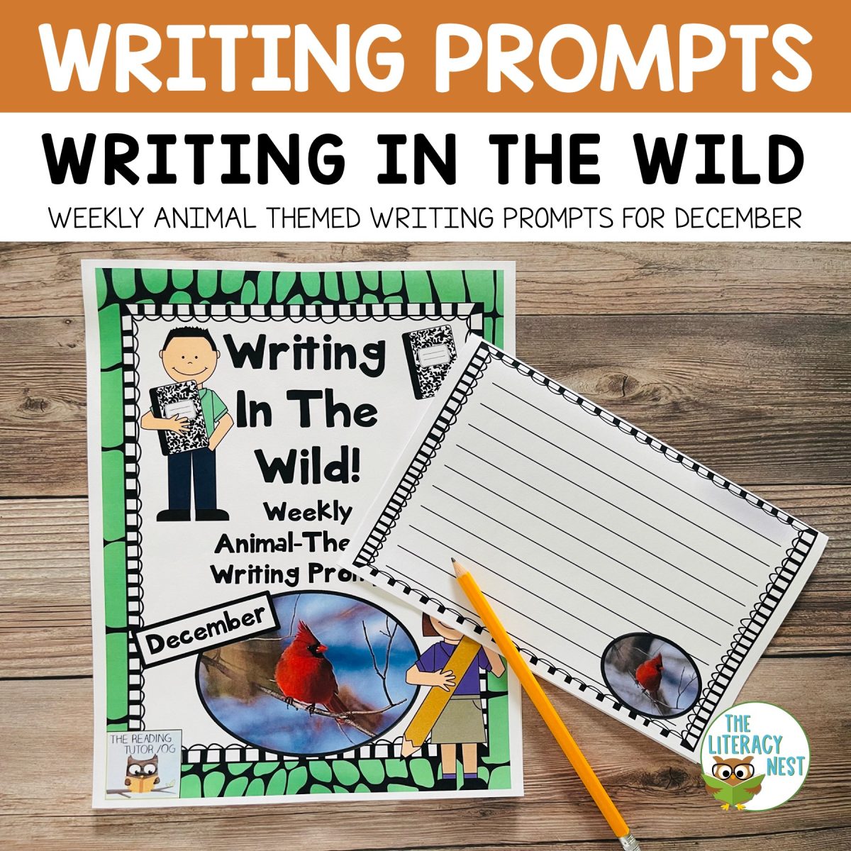 Animal Picture Prompts Writing Activities for December Literacy Centers ...