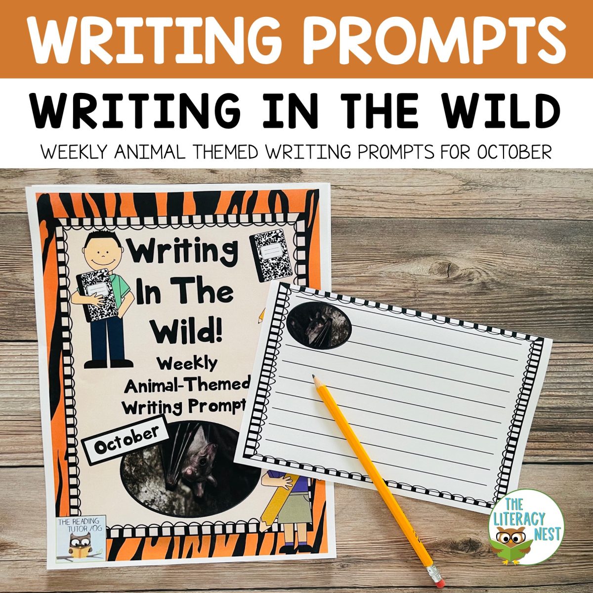 Animal Picture Prompts for Creative Writing for October Morning Work ...