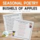 Apple Poems for Fluency Practice - The Literacy Nest