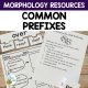 Decodable Passages for Prefixes and Suffixes FREEBIE - The Literacy Nest