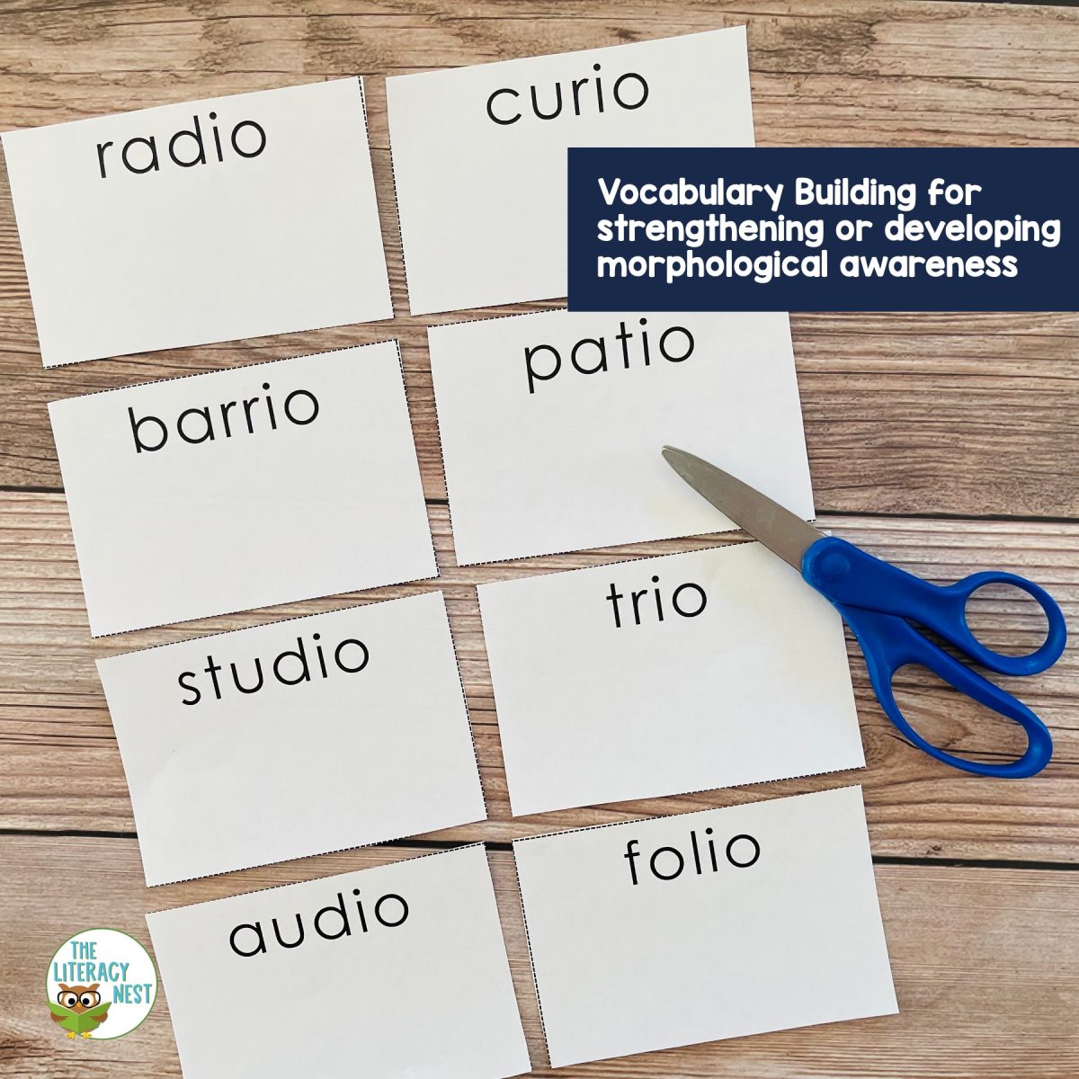 Advanced Orton-Gillingham Activities for -IO - The Literacy Nest