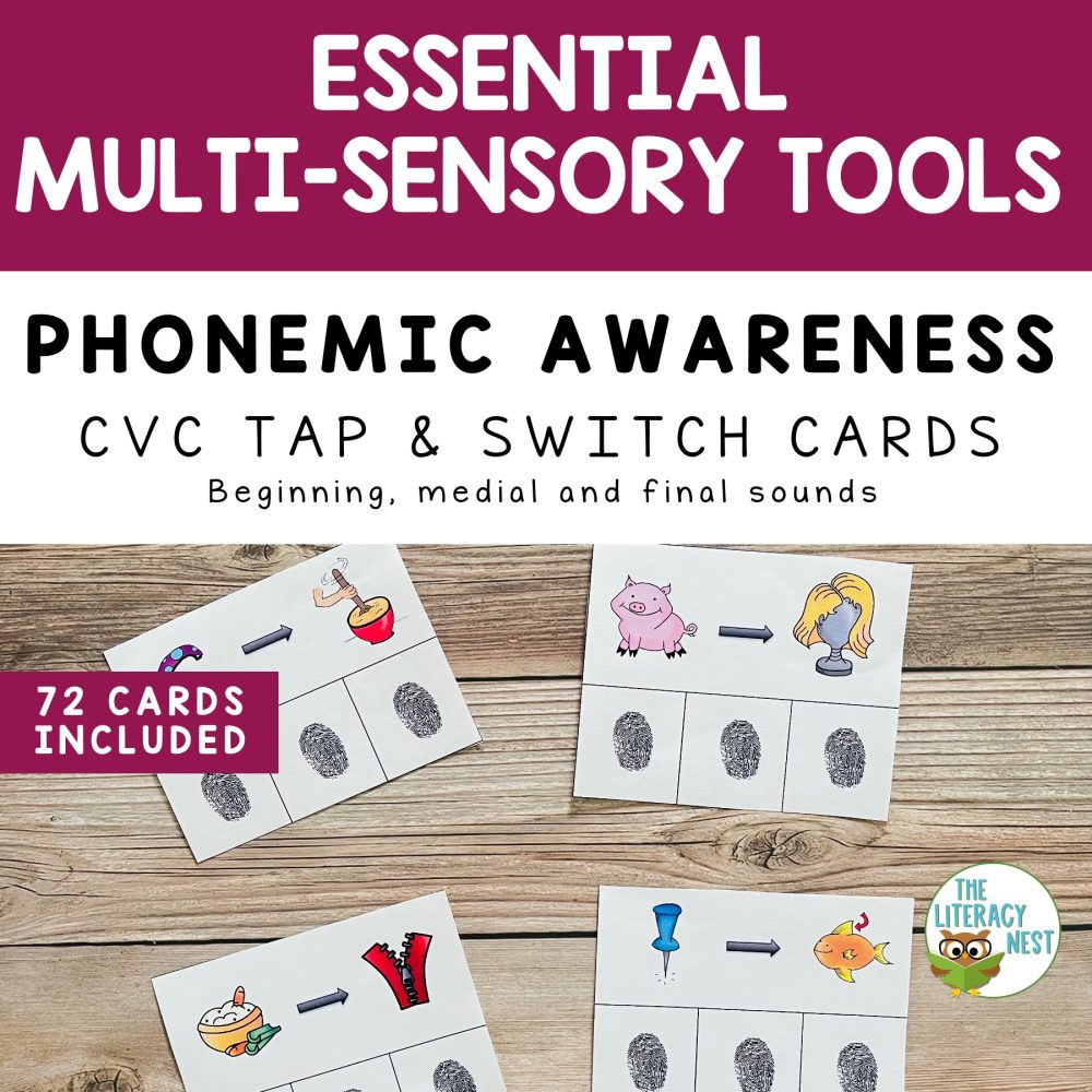 Phonemic Awareness Multisensory Cards Orton-Gillingham Teaching ...