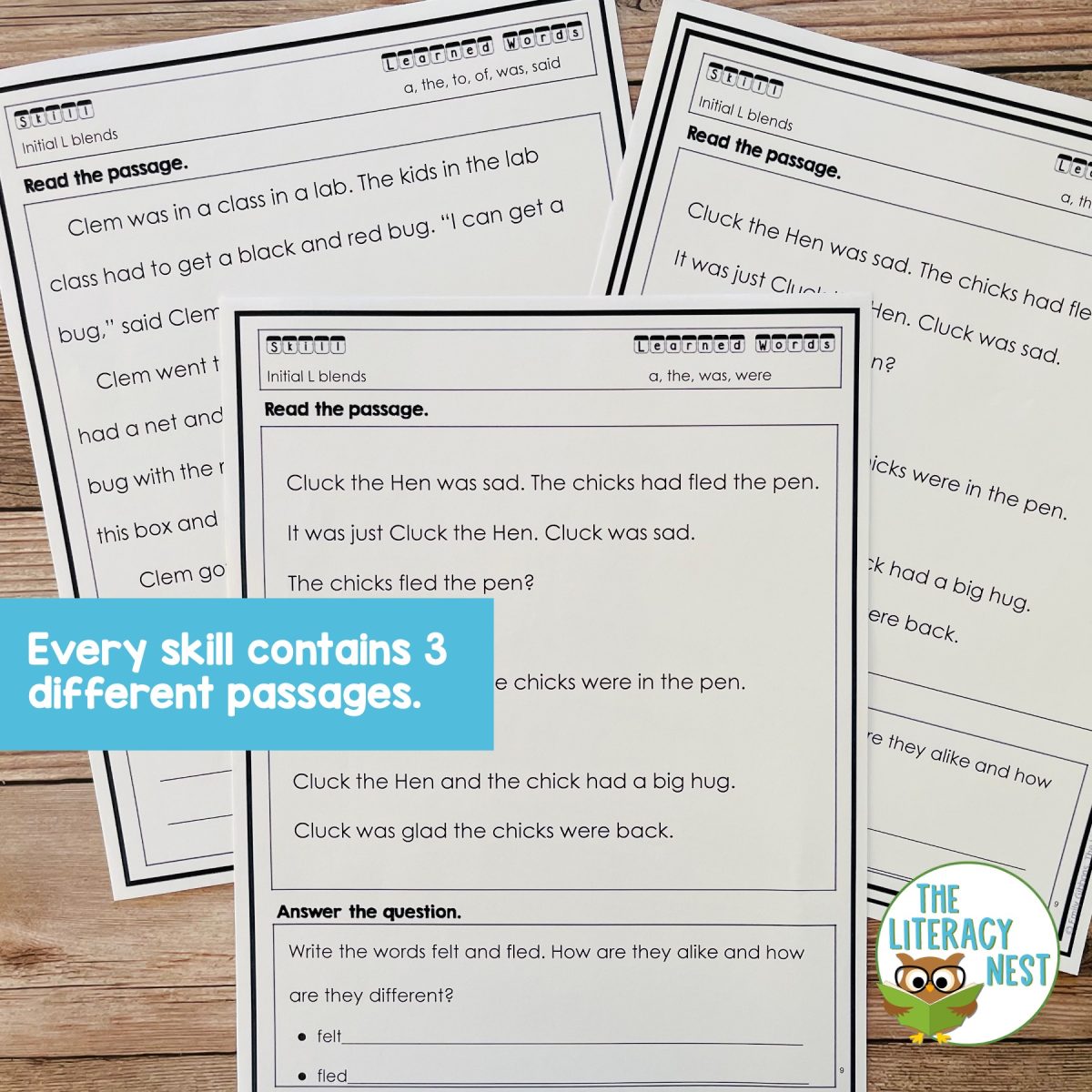 Consonant Blends Decodable Reading Passages - The Literacy Nest