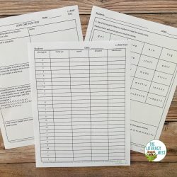 Orton-Gillingham Diagnostic Assessment BUNDLE with scope and sequence ...