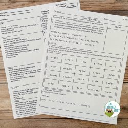 Orton-Gillingham Diagnostic Assessment BUNDLE with scope and sequence ...