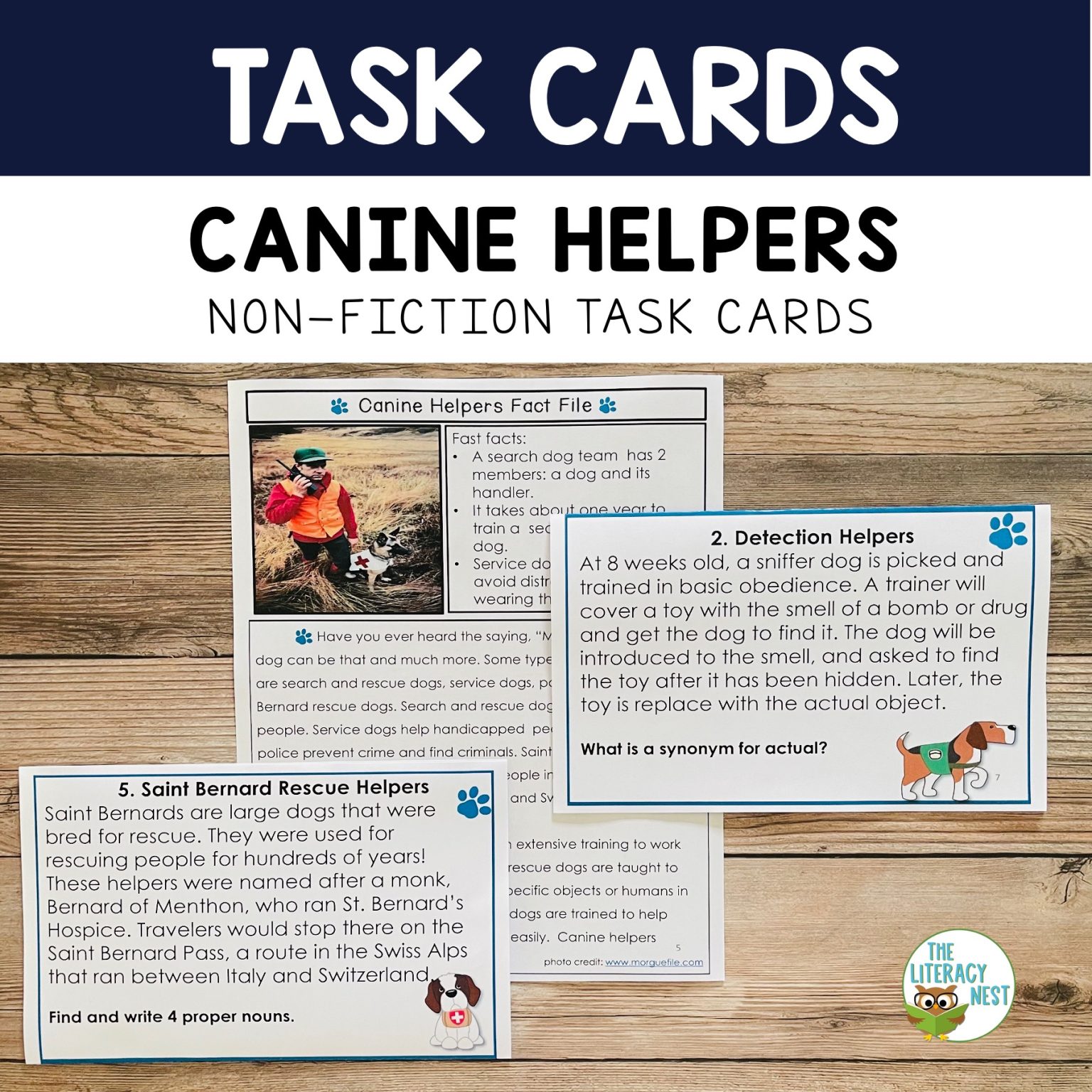 Nonfiction Task Cards: Search and Rescue Dogs - The Literacy Nest