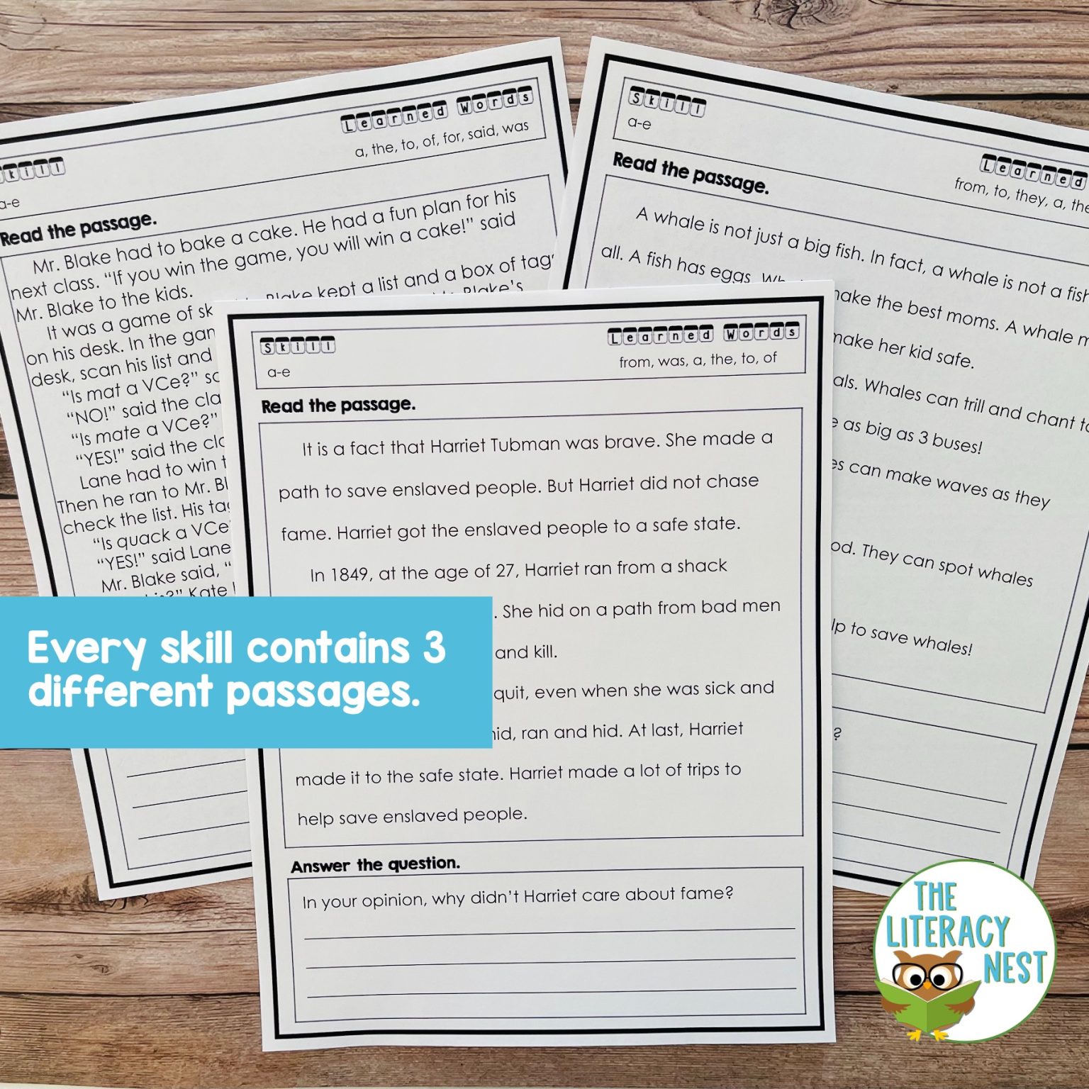 VCe Syllable Type Decodable Reading Passages - The Literacy Nest