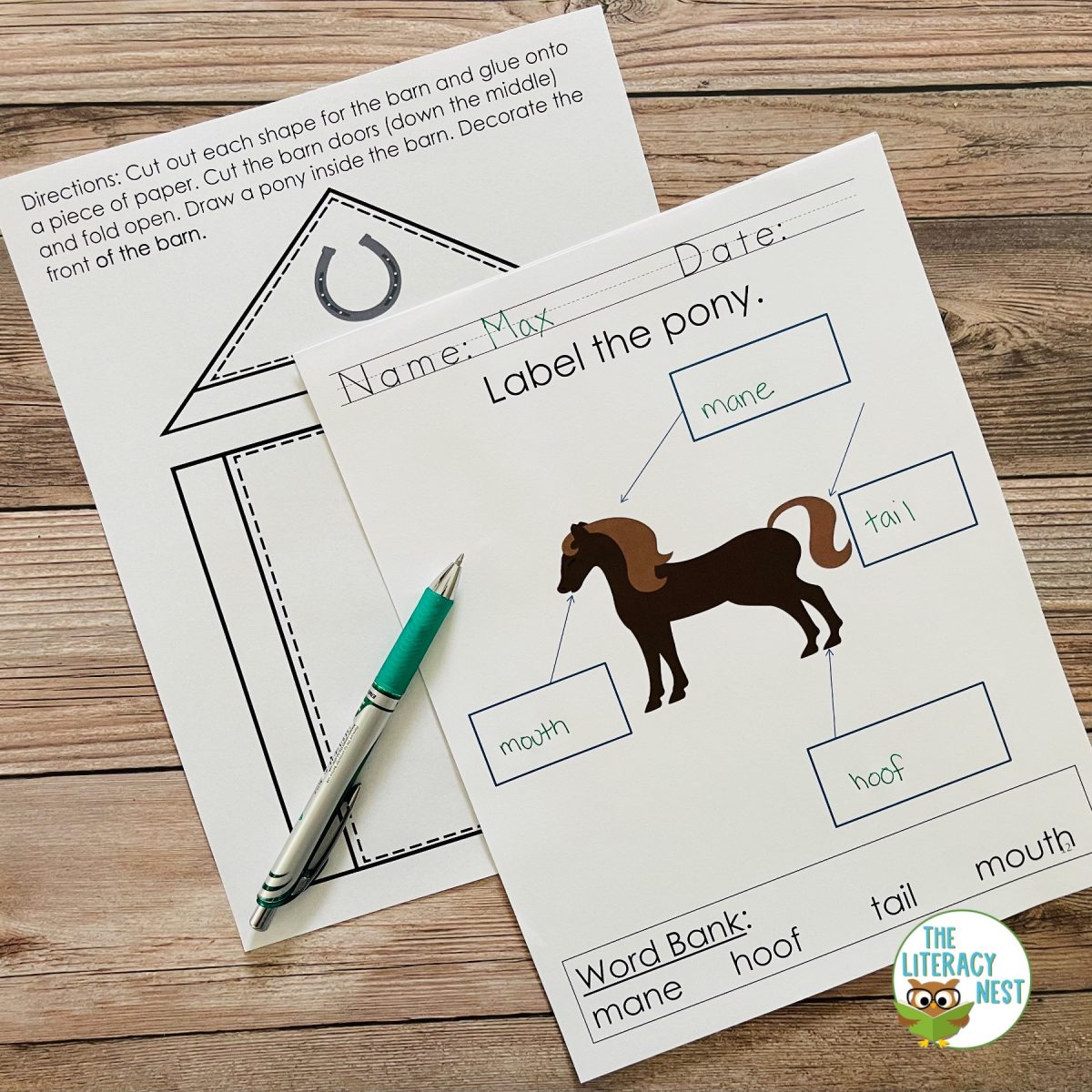 Nonfiction Task Cards: Ponies - The Literacy Nest