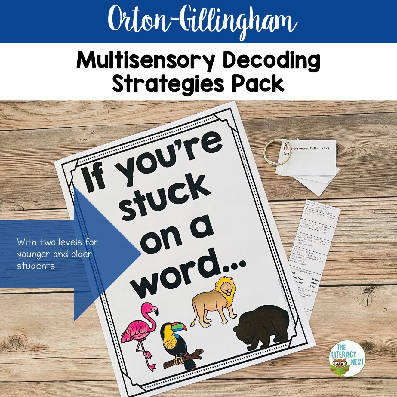 Y as a Vowel: Multisensory Spelling Strategies - The Literacy Nest