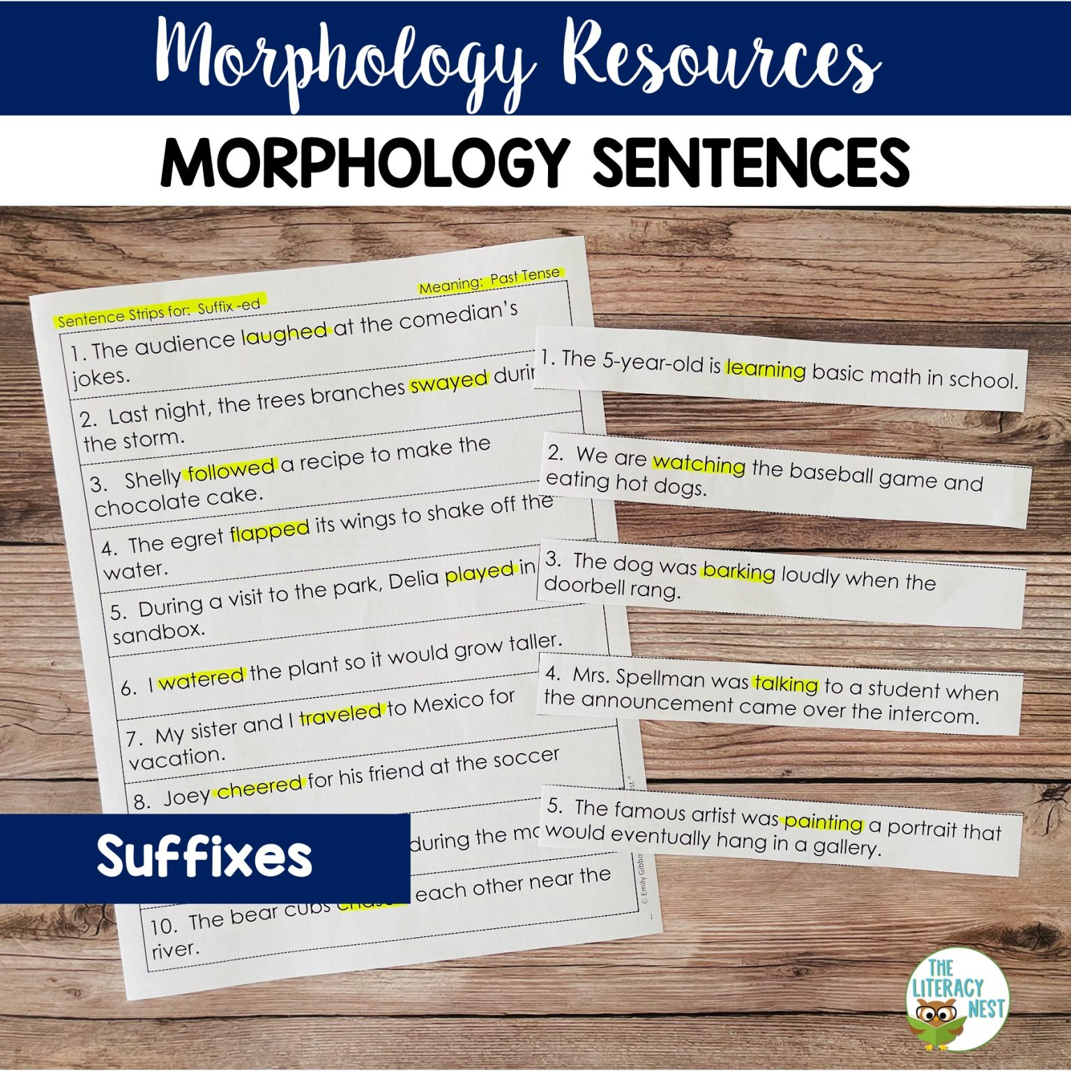 Morphology Sentences for Prefixes, Suffixes, Roots, Greek Forms - The ...