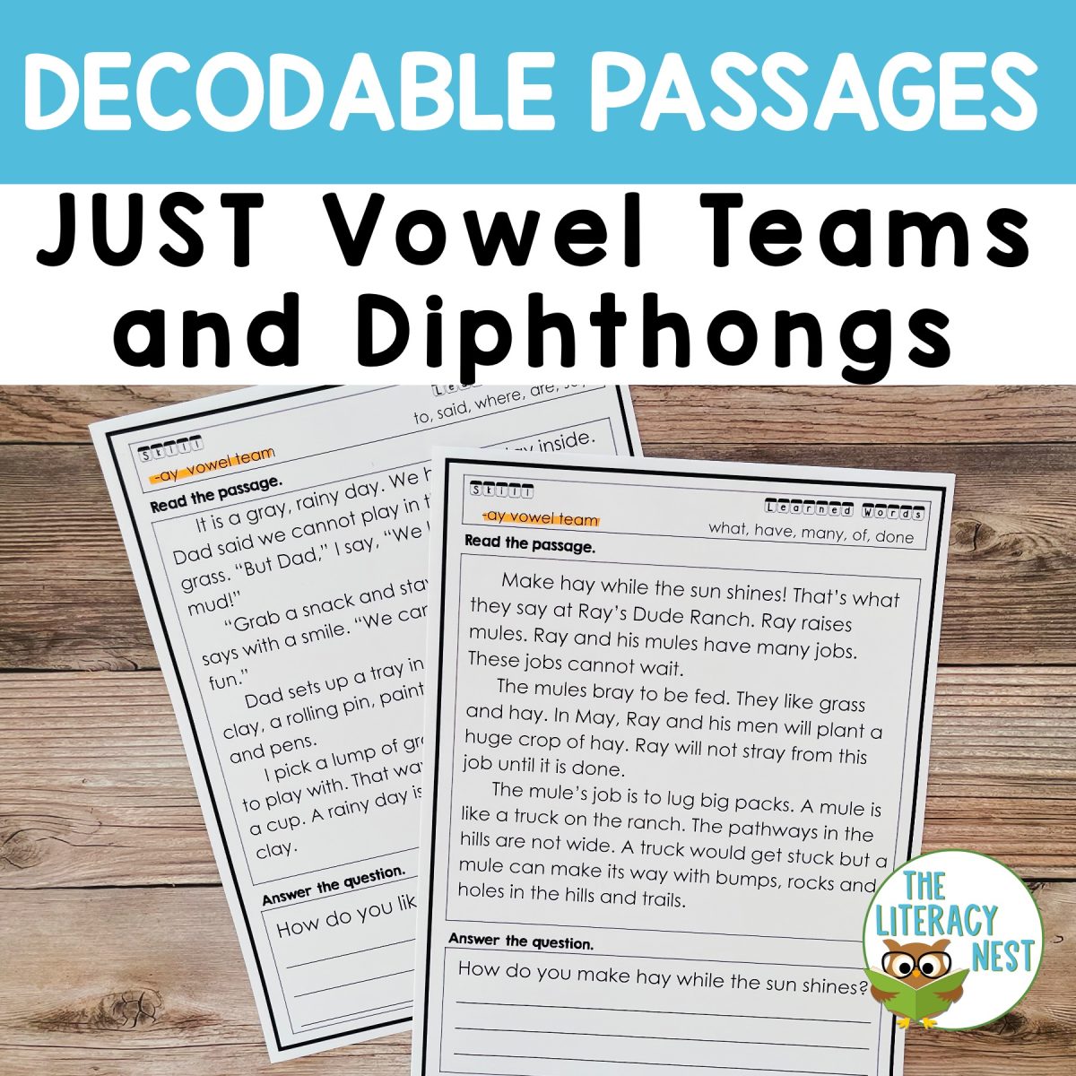 Vowel Teams and Vowel Diphthongs Decodable Reading Passages - The ...