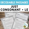 Decodable Passages for Consonant + LE Syllables - The Literacy Nest