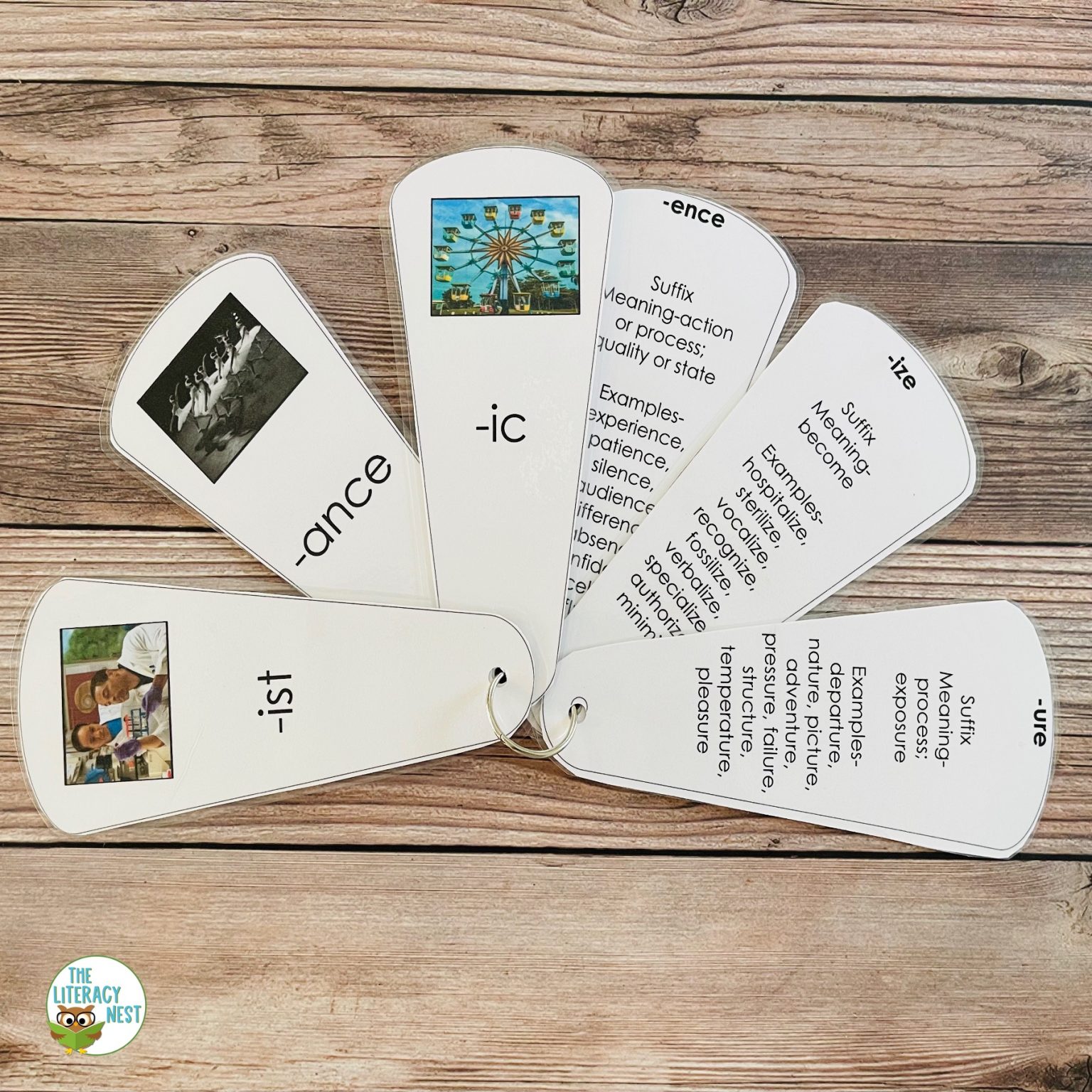 Morphology Activities Bundle - The Literacy Nest