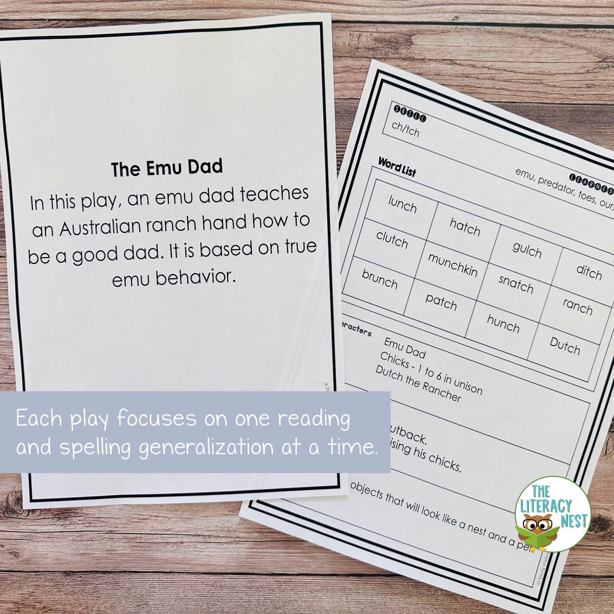 Phonics Based Reader’s Theater for Reading and Spelling Generalizations ...