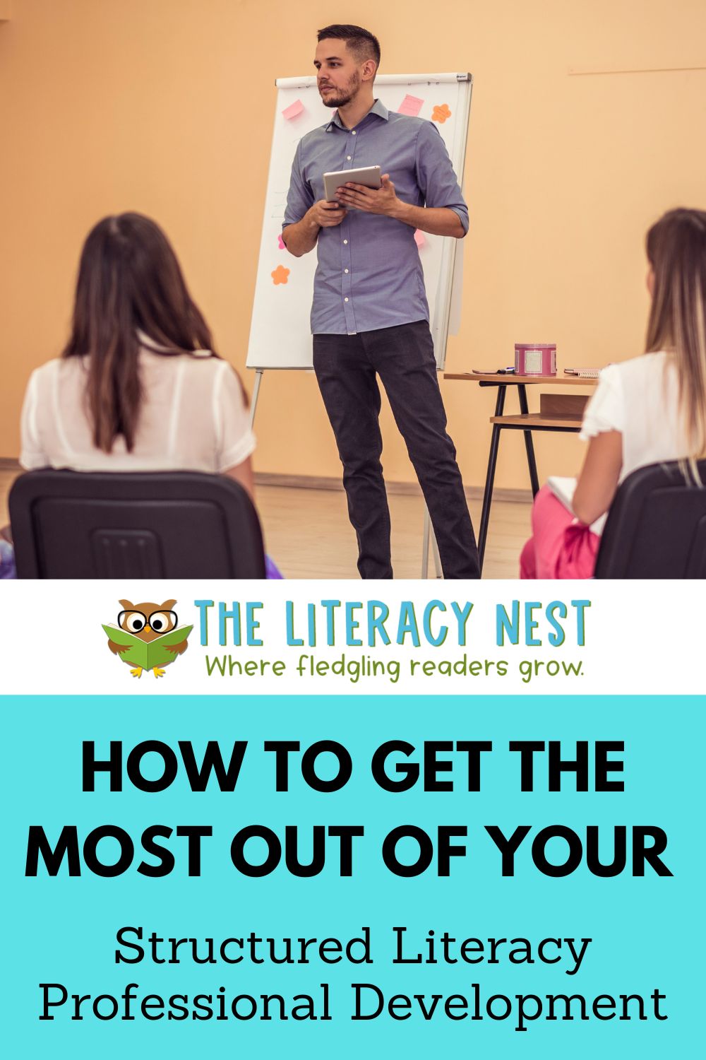 How To Get the Most Out of Your Structured Literacy Professional ...