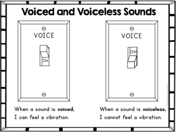 Voiced and Unvoiced S: 7 Teaching Tips! - The Literacy Nest