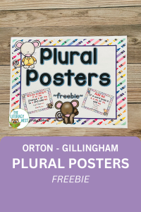 Tips for Teaching -S and -ES Plurals - The Literacy Nest