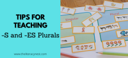 Tips for Teaching -S and -ES Plurals - The Literacy Nest