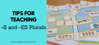 Tips for Teaching -S and -ES Plurals - The Literacy Nest