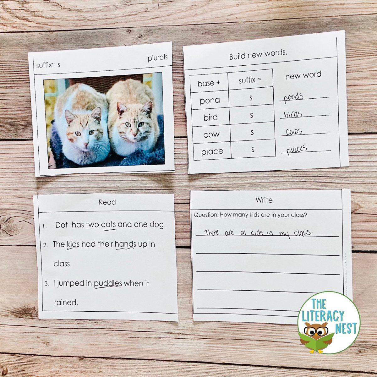 Morphology Activities Prefixes, Suffixes, Roots for Early Readers - The ...