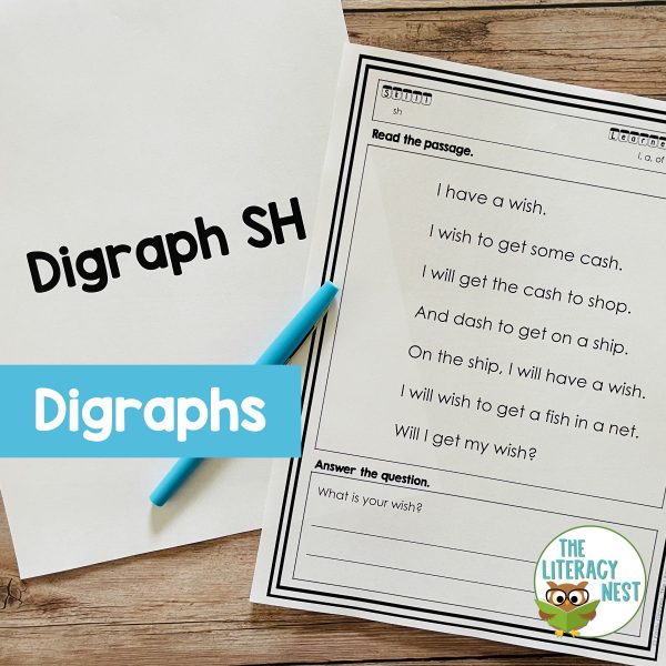 Effective Ways to Promote The Transfer of Learning - The Literacy Nest