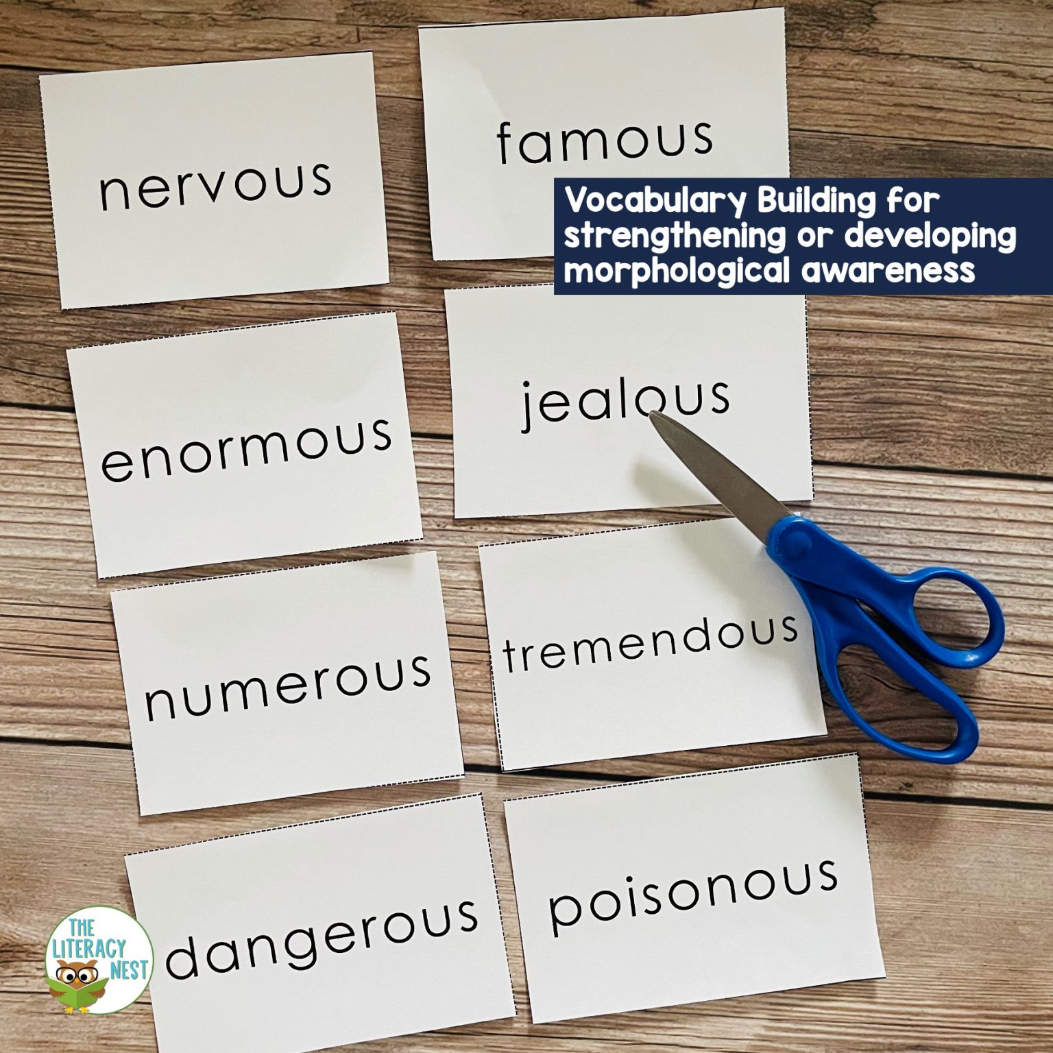 Is it -OUS or -US? How to Teach This Spelling Generalization - The ...