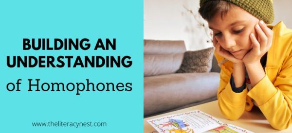Building an Understanding of Homophones - The Literacy Nest