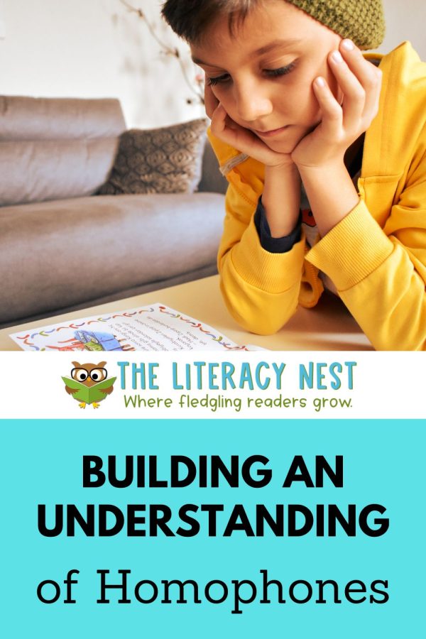 Building an Understanding of Homophones - The Literacy Nest