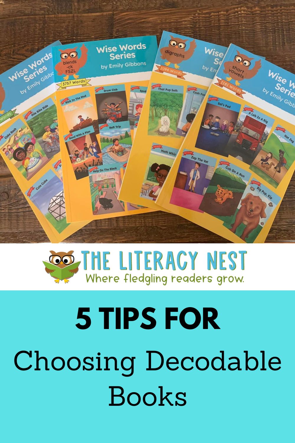 5 Tips for Choosing Decodable Books - The Literacy Nest