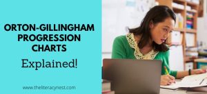 Orton-Gillingham Progression Charts Explained! - The Literacy Nest