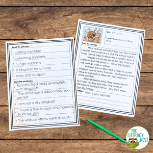 Decodable Passages for Syllable Division Multisyllabic Words with ...