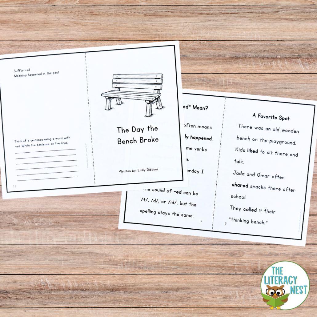 Morphology Reading Comprehension for Suffixes and Vocabulary Practice ...